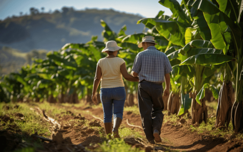 Funrural: seu benefício para o produtor rural! - AgroPós
