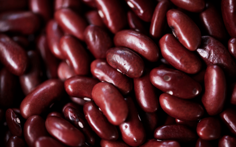 Conheça 13 tipos de feijão cultivados no Brasil! - AgroPós