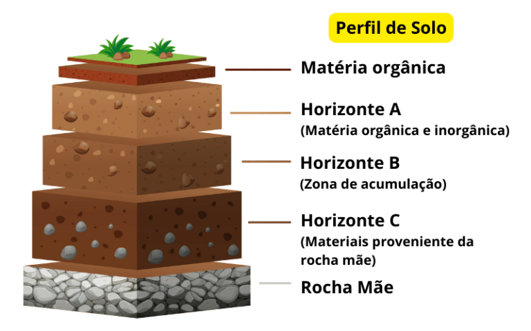 Entenda como o solo é formado e sua importância! - AgroPós