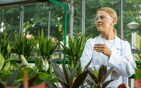 Biólogo: entenda tudo sobre essa profissão! - AgroPós