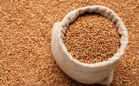 Trigo mourisco: entenda o que é e sua importância! - AgroPós