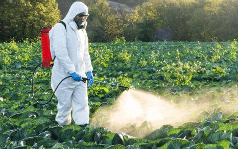 Saiba mais sobre o controle com fungicida nativo! - AgroPós