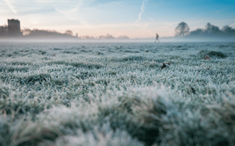 Geada negra: saiba tudo sobre esse fenômeno! - AgroPós